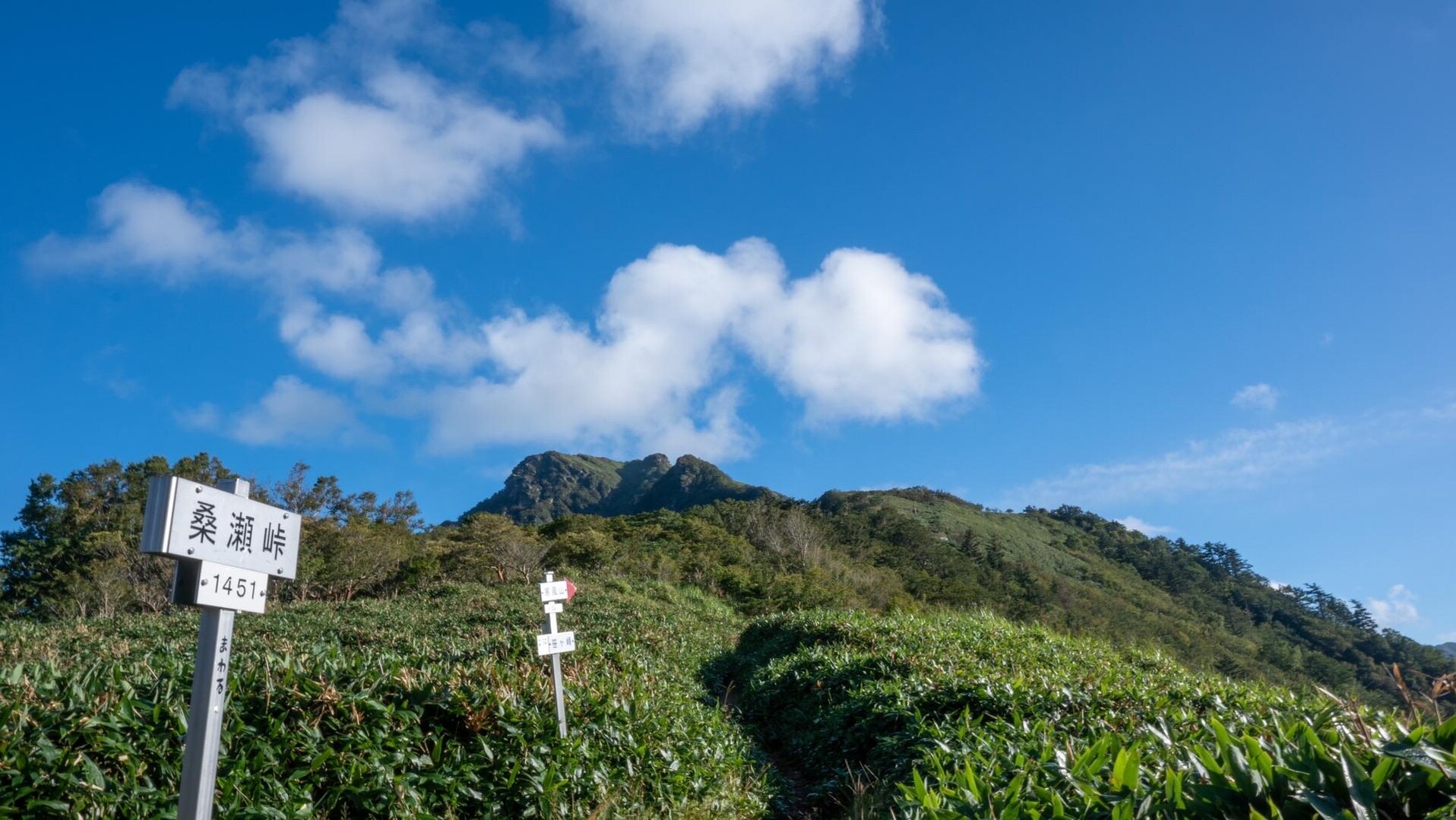 Kさんの登山デビュー🤭寒風山⛰ / 51-GOGOさんの笹ヶ峰・寒風山・平家平の活動データ | YAMAP / ヤマップ