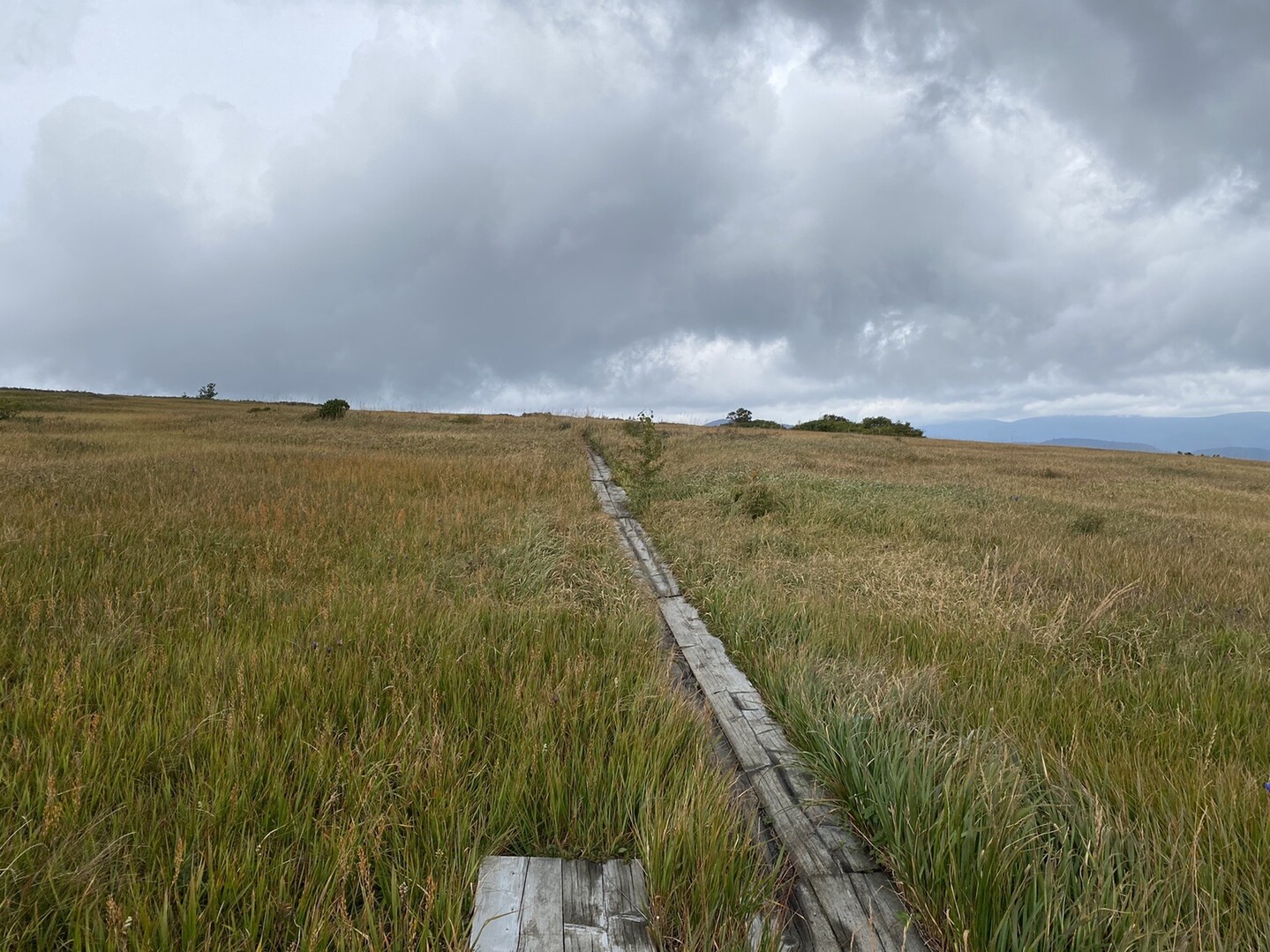 小白森・大白森 / J-BOYさんの乳頭山・湯森山・大白森の活動日記 | YAMAP / ヤマップ