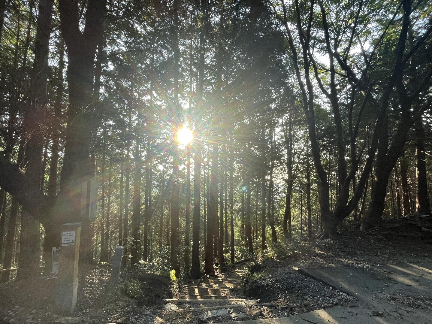 本宮山トレーニング6回目🤤🤤🤤🤤🤤🤤 / Kumagoro さんの本宮山・大日山・風頭山の活動データ | YAMAP / ヤマップ