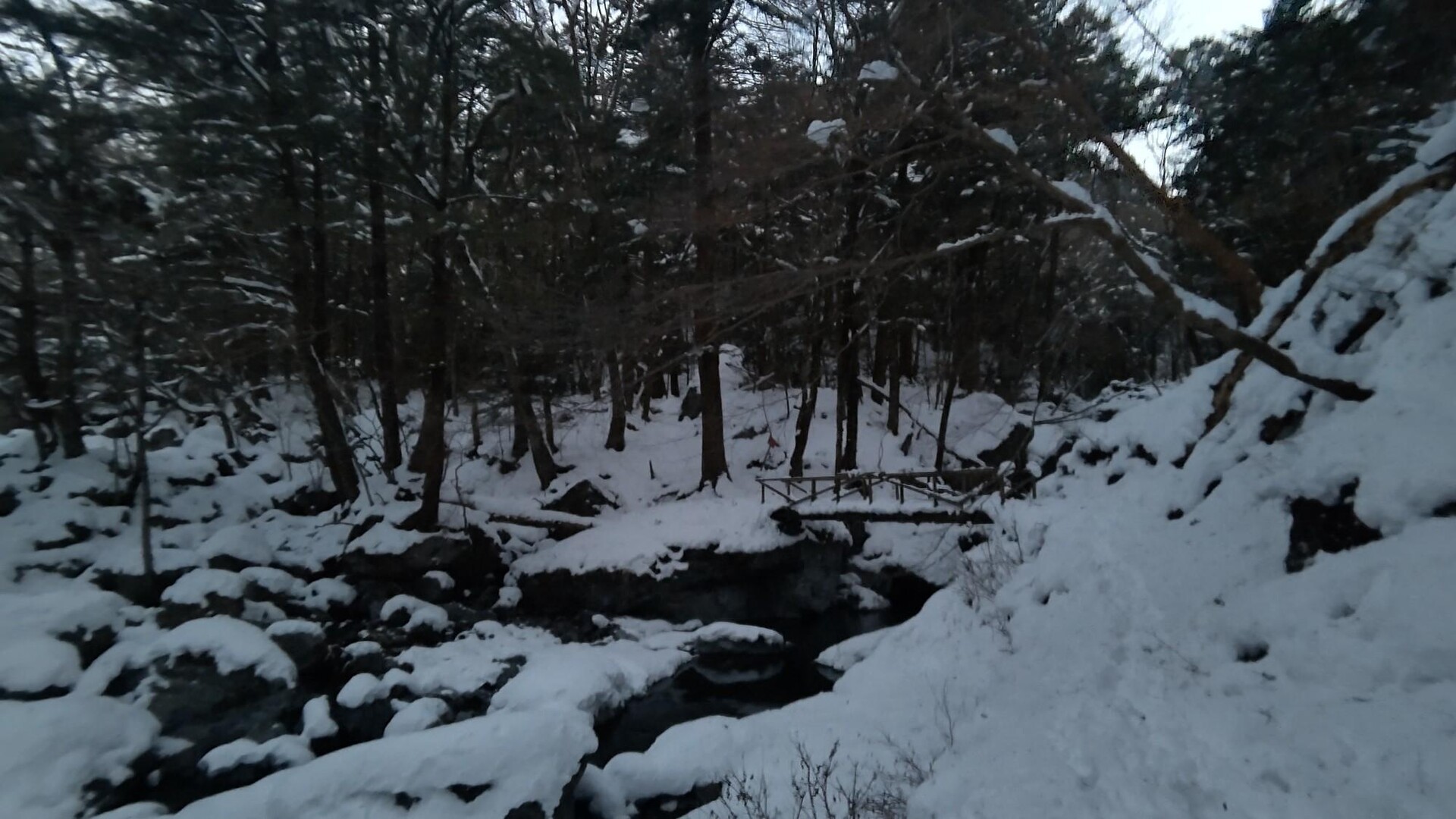 光石登山口約4KM手前〜三嶺ピストン / じいやんさんの三嶺・天狗塚・石立山の活動データ | YAMAP / ヤマップ