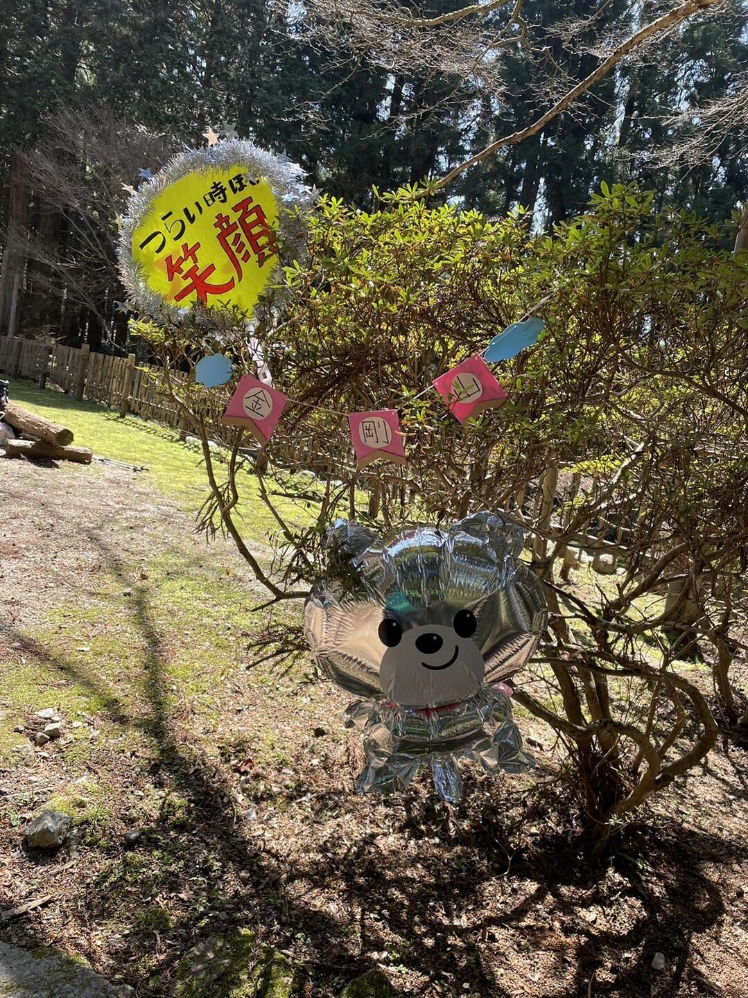 チャレンジダイトレ / ree-koさんの金剛山・二上山・大和葛城山の活動データ | YAMAP / ヤマップ