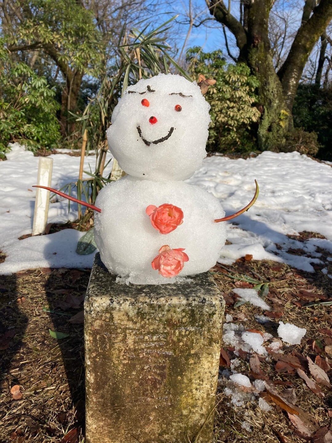 城山・法尻山 / Yu 𖡼.𖤣𖥧さんの呉羽山・城山の活動日記 | YAMAP / ヤマップ