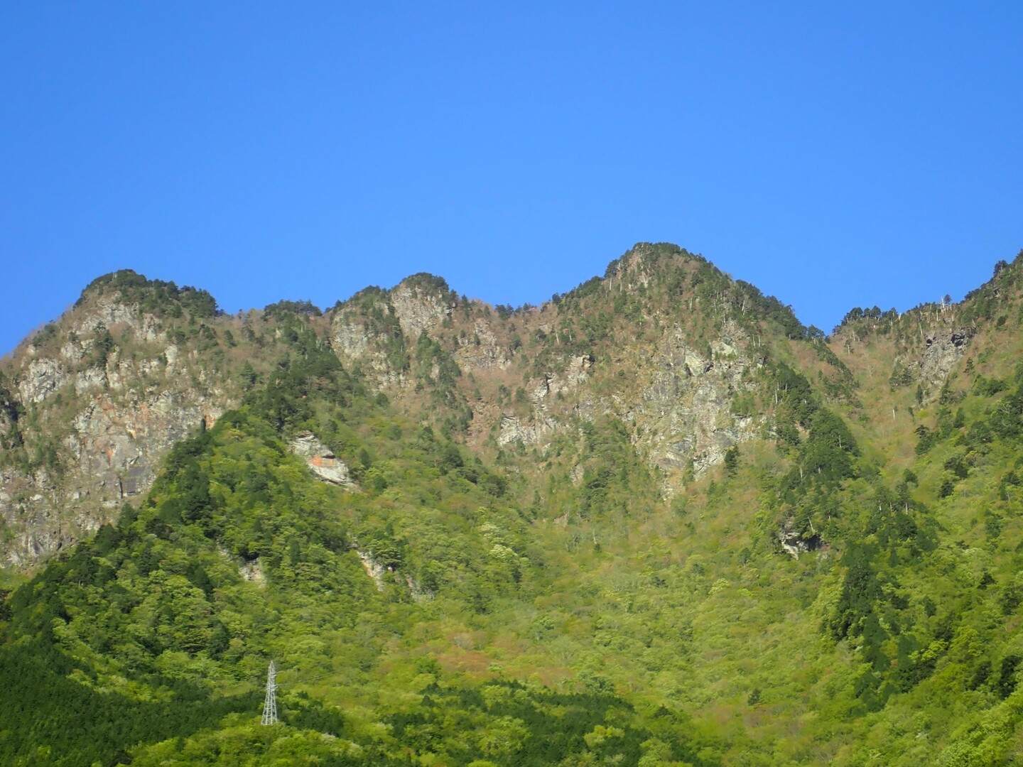 黒森山東尾根を周回（河又から黒森山ﾊﾞｯﾄﾞﾚｽSP～黒森山ﾊﾞｯﾄﾚｽ周回） / のーちゃんさんの東赤石山・西赤石山・物住頭の活動データ | YAMAP / ヤマップ
