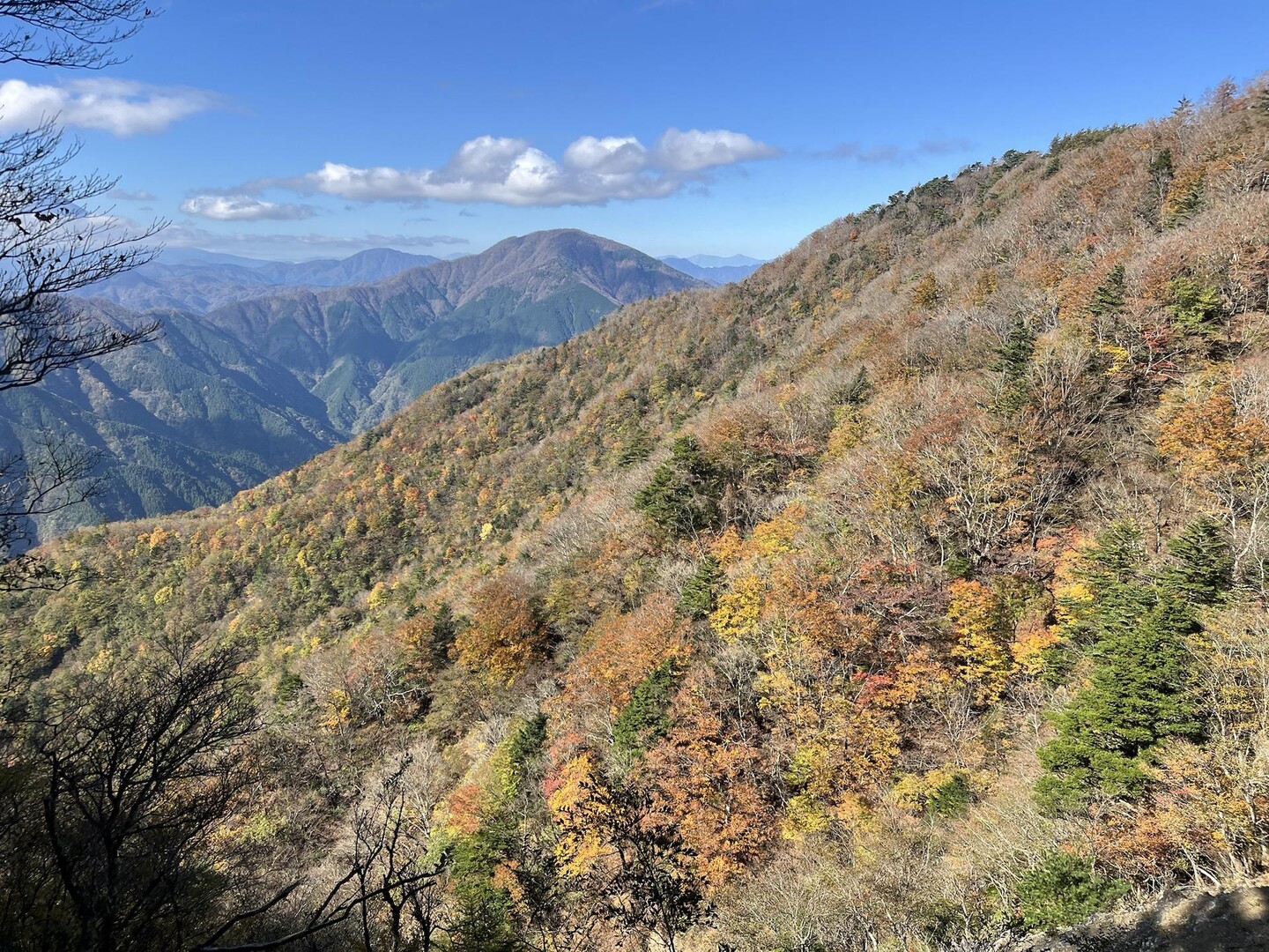 蛭ヶ岳・丹沢山・塔ノ岳 / so!yo!さんの塔ノ岳・丹沢山・蛭ヶ岳の活動データ | YAMAP / ヤマップ