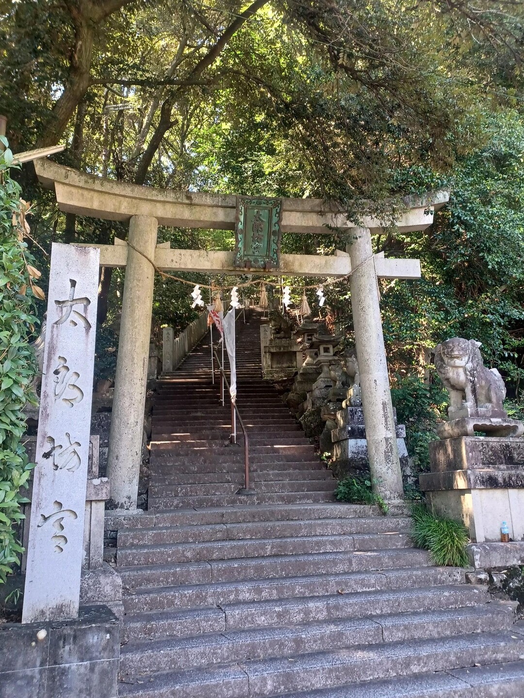 太郎坊宮 ～太郎坊山～ / Azy-mさんの箕作山・太郎坊山の活動データ | YAMAP / ヤマップ