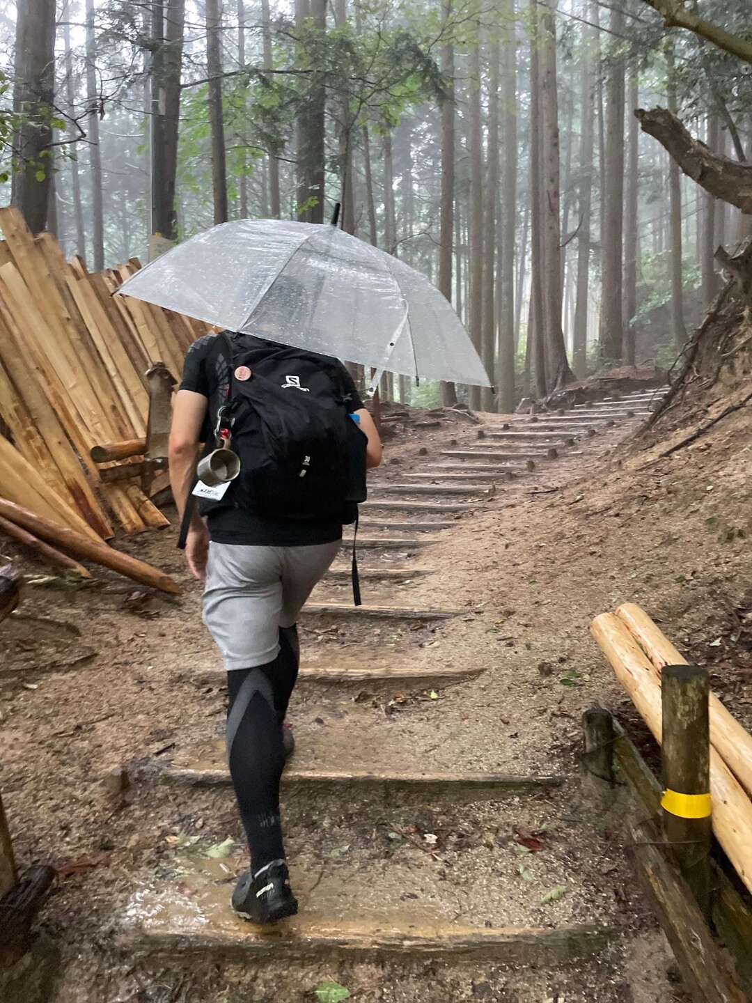 金剛山・葛木岳 / Tatsuさんの金剛山・二上山・大和葛城山の活動データ | YAMAP / ヤマップ