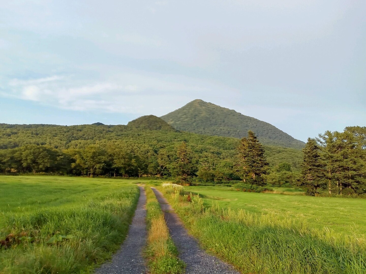 敏音知岳 / kuri panさんの敏音知岳の活動データ | YAMAP / ヤマップ