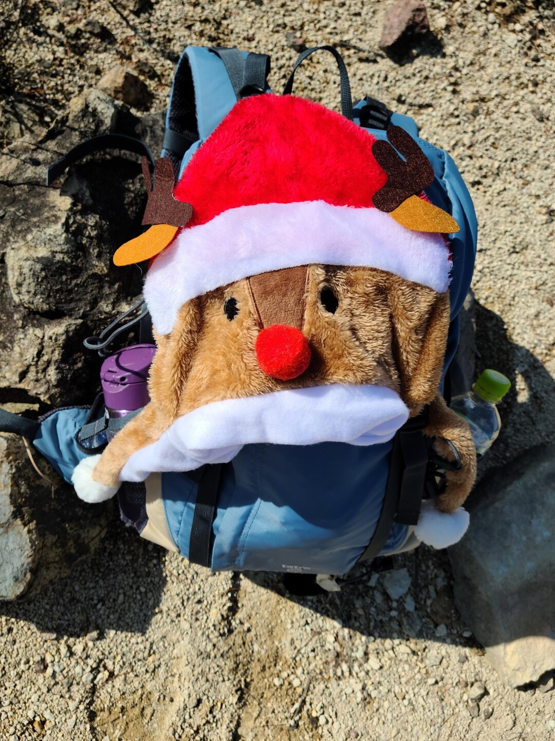 X'masにトナカイ！？高御位山に挑戦 / フミさんの高御位山・播磨アルプスの活動データ | YAMAP / ヤマップ