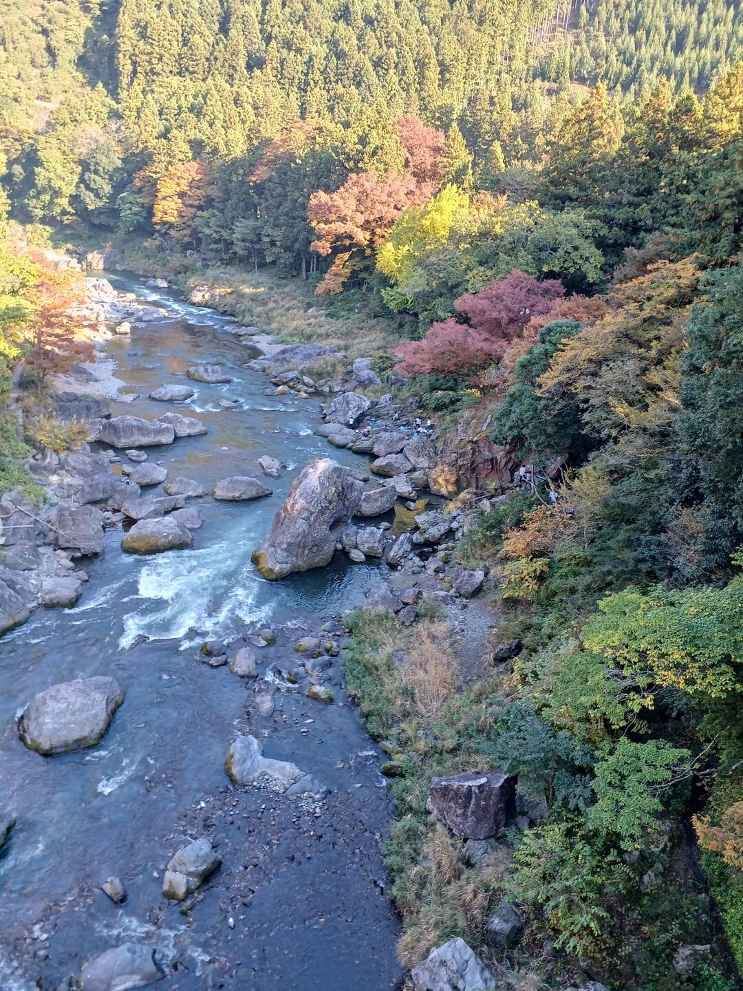 🚃武蔵五日市駅〜日の出山〜LANI HEAD TRAIL🌺 / spesさんの大岳山・御岳山・御前山の活動データ | YAMAP / ヤマップ