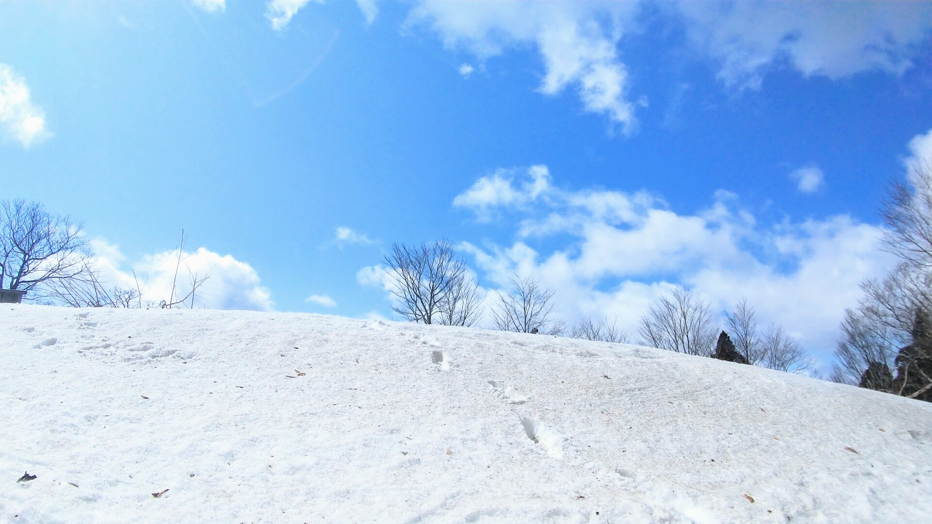 【野坂】百里ヶ岳(931m)桜谷山(825m)宗山(589m) / もりさとさんの野坂岳の活動データ | YAMAP / ヤマップ