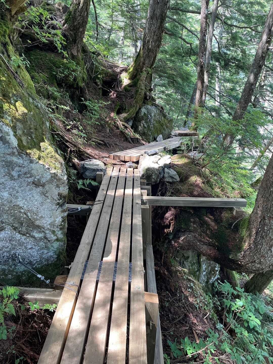 Yusuke Maruさんの投稿したフィールドメモ | YAMAP / ヤマップ