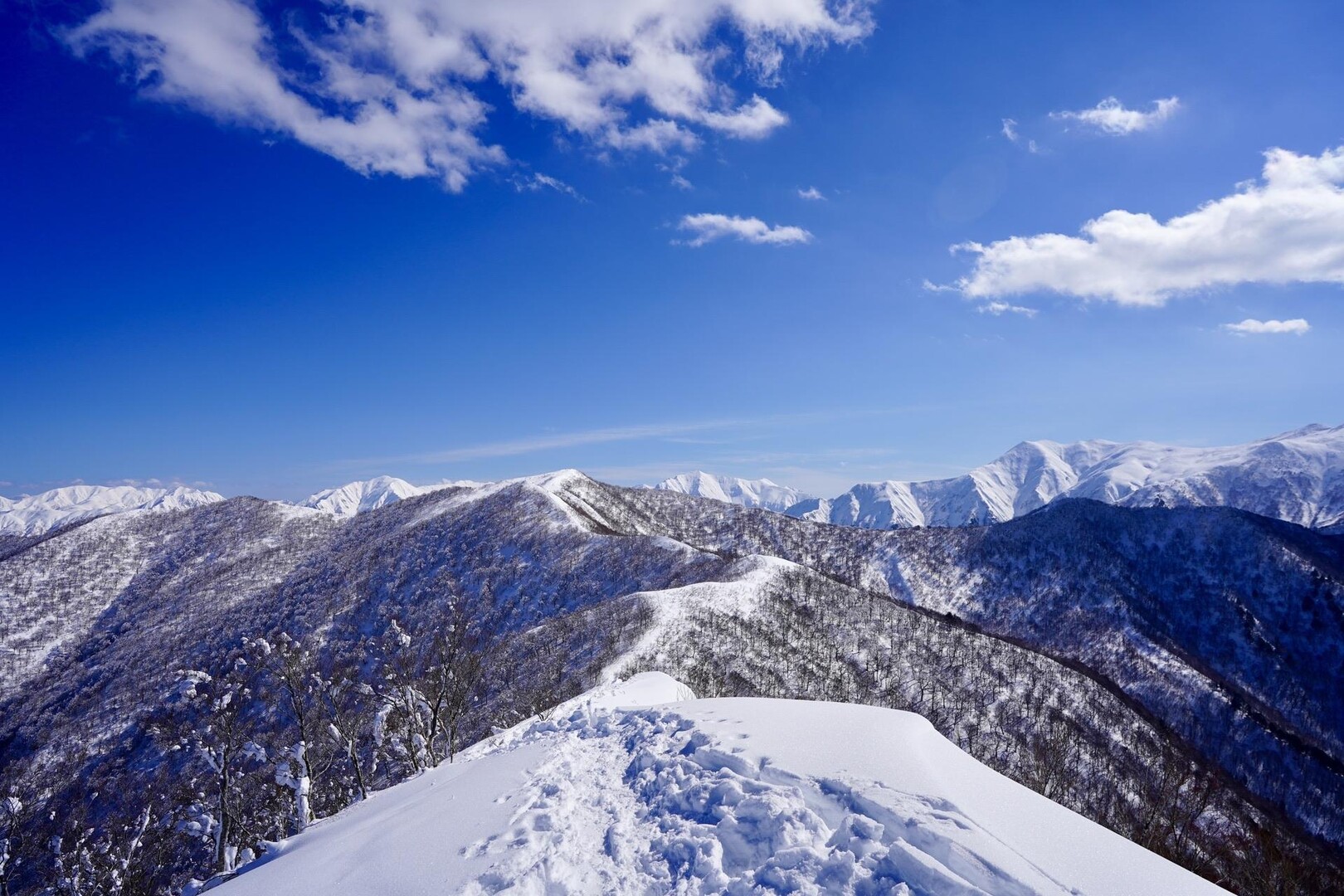 東谷山で雪遊び😁 / TY電気さんの仙ノ倉山・平標山・大源太山の活動データ | YAMAP / ヤマップ