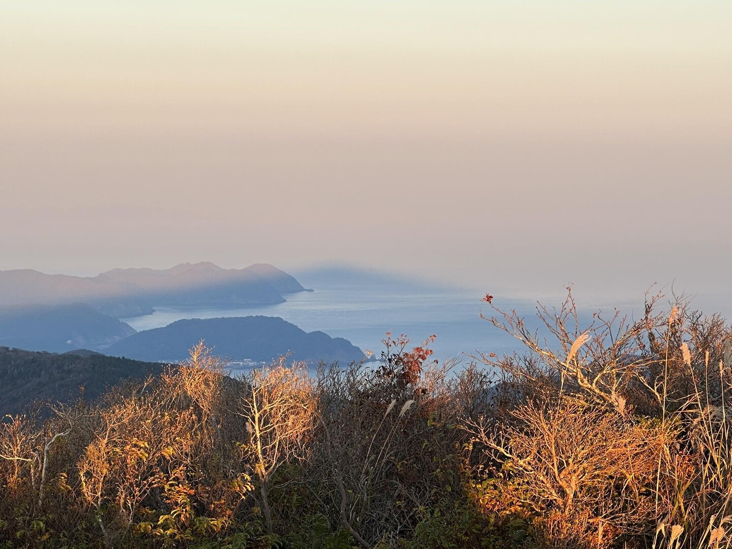 野坂岳 / yumieさんの野坂岳の活動データ | YAMAP / ヤマップ