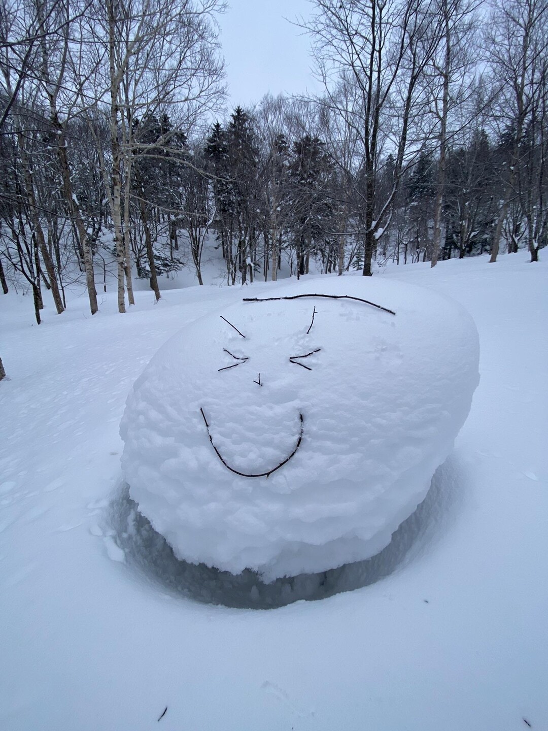 イチャンコッペのあと真狩登山口でスノーシ... / YUKIさんのモーメント | YAMAP / ヤマップ
