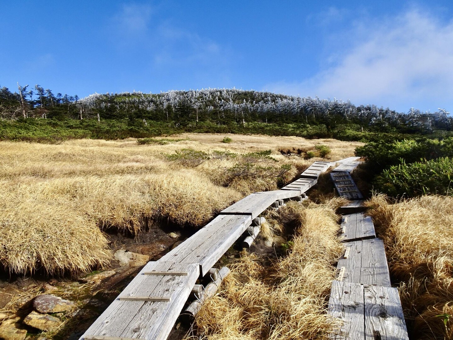 西大巓・西吾妻山 / taizoさんの吾妻山・一切経山の活動データ | YAMAP / ヤマップ