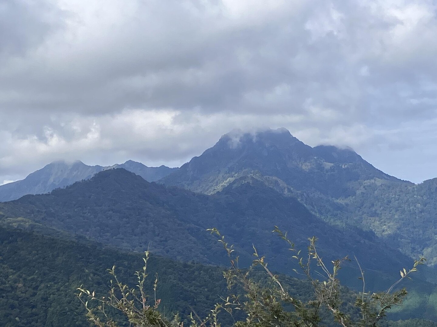 四国ウロチョロ 東黒森⇒伊予富士でfin. / Hanamamさんの瓶ヶ森・伊予富士の活動データ | YAMAP / ヤマップ