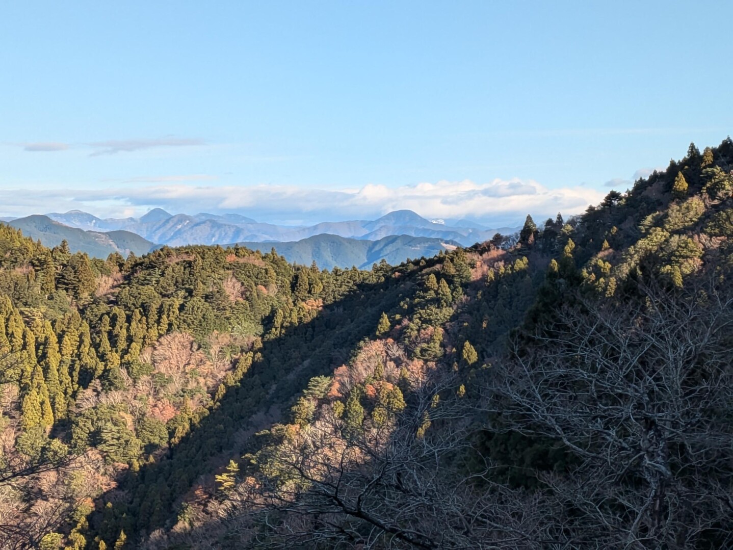 トレーニング / kontomoさんの八高山・神尾山・大尾山の活動データ | YAMAP / ヤマップ