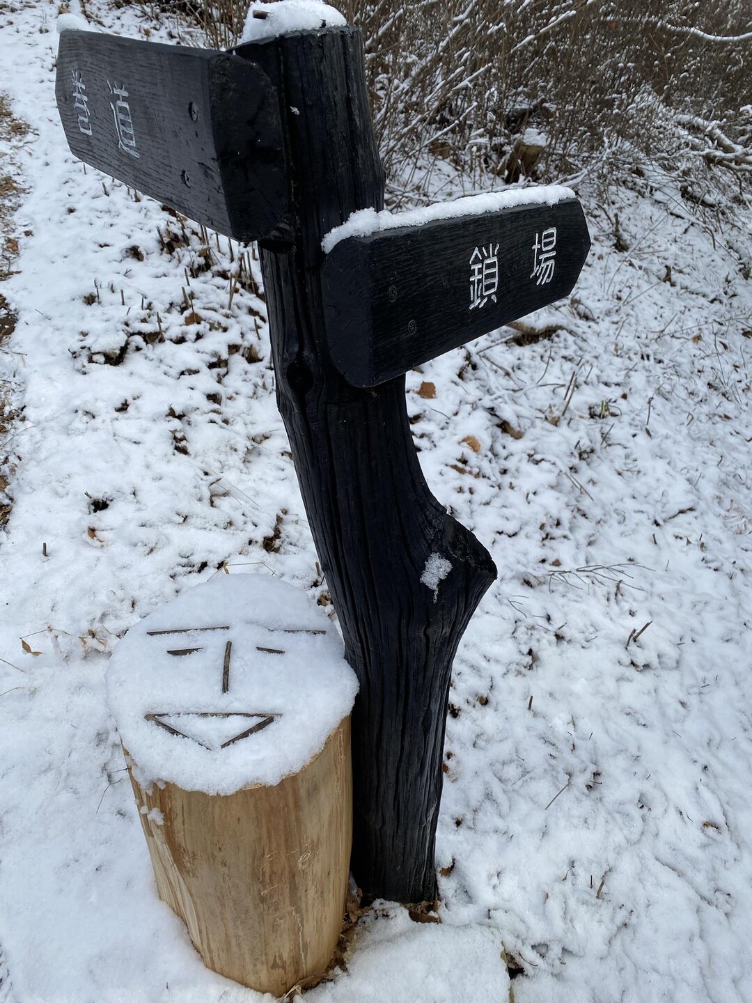 二ッ箭山・月山 岩場コースから男体山 / wariさんの二ッ箭山・三森山・猫鳴山の活動データ | YAMAP / ヤマップ