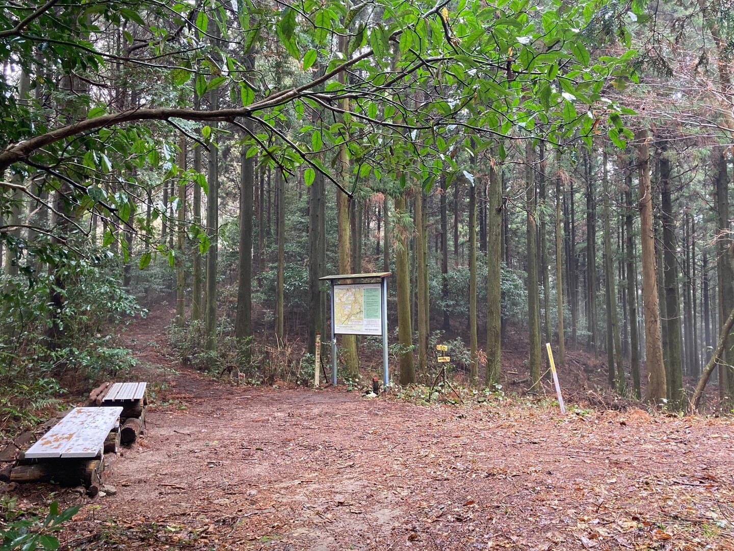 Toshio さんの投稿したフィールドメモ | YAMAP / ヤマップ