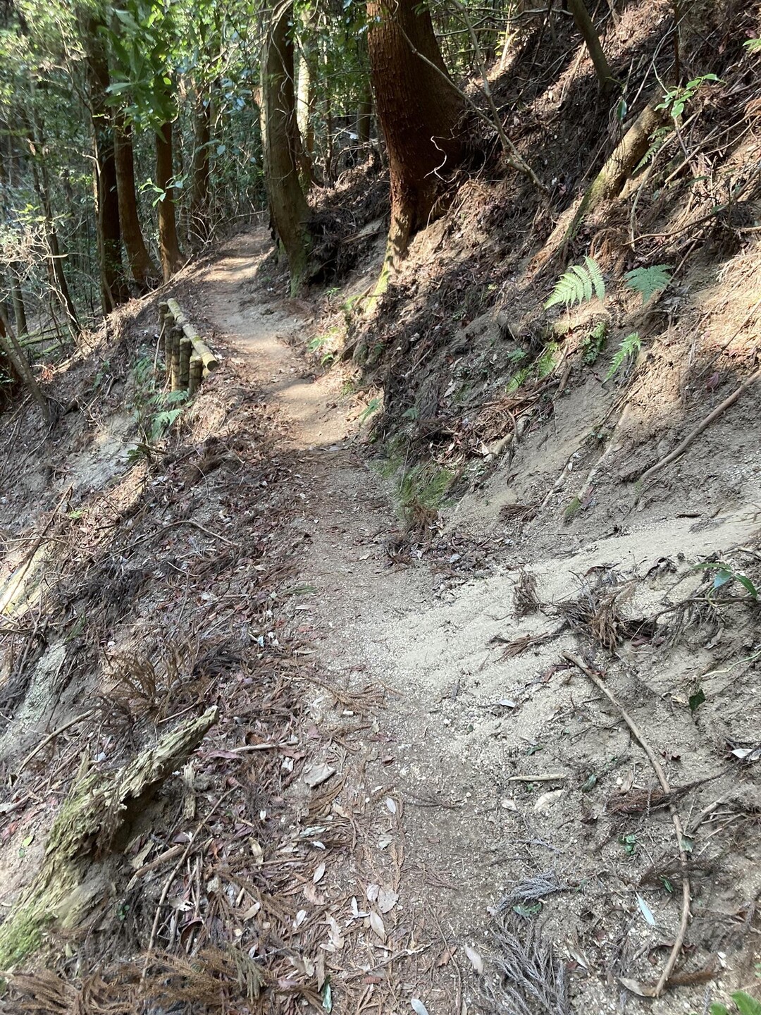 keloさんの投稿したフィールドメモ | YAMAP / ヤマップ