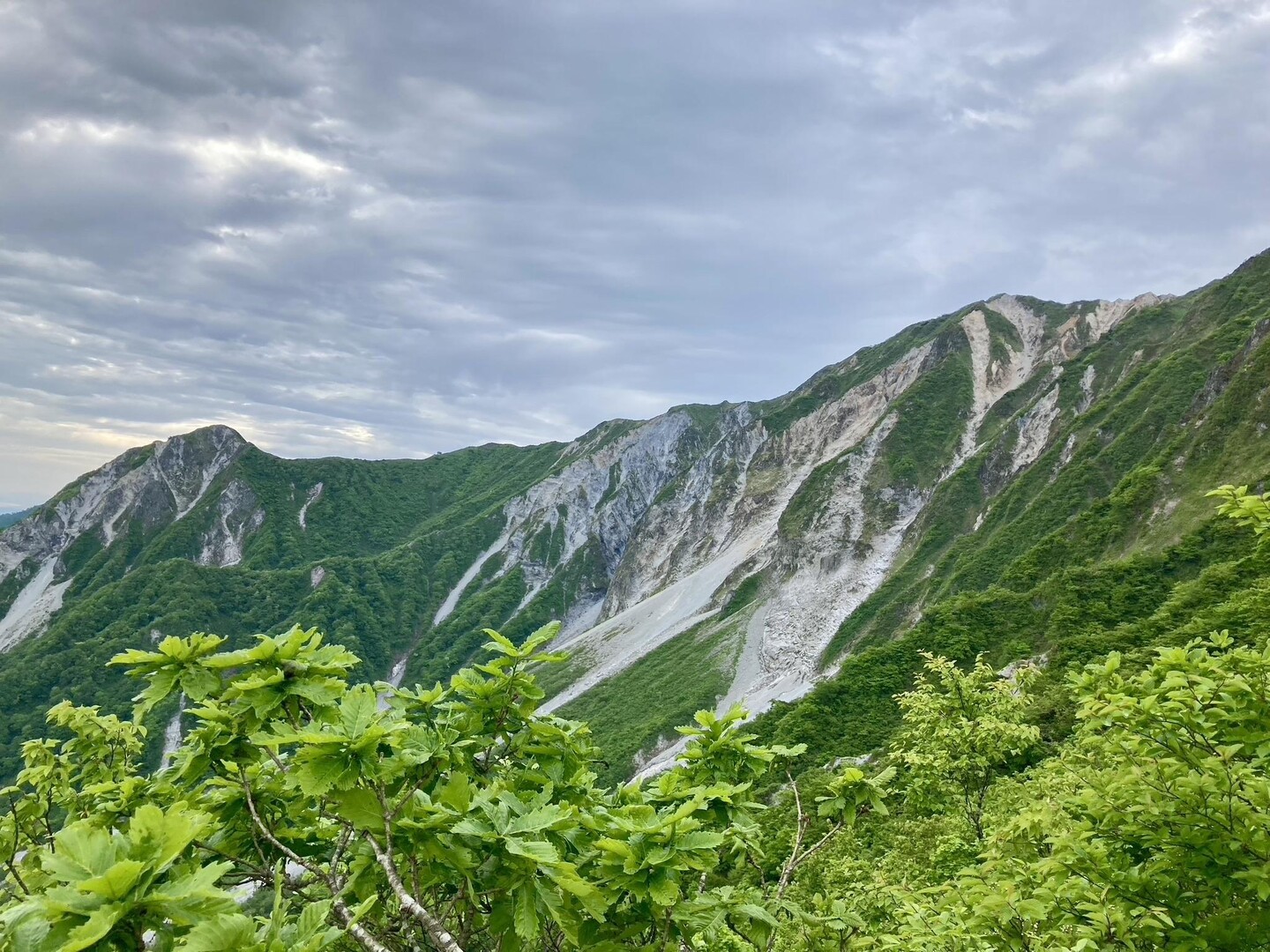 大山（弥山） / snor_manさんの大山・甲ヶ山・野田ヶ山の活動データ | YAMAP / ヤマップ