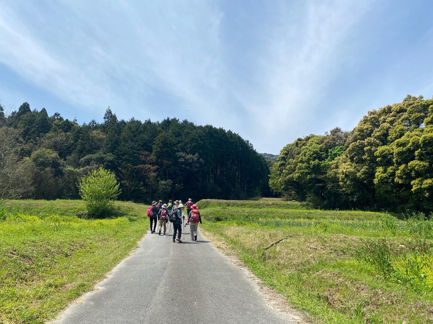 新緑の鐘撞山🌿 / rebiさんの高祖山・飯盛山・叶岳の活動データ | YAMAP / ヤマップ