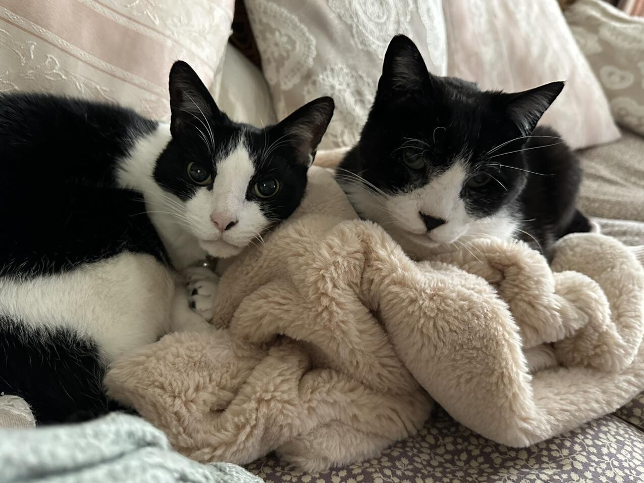 Amyのページ | YAMAP / ヤマップ