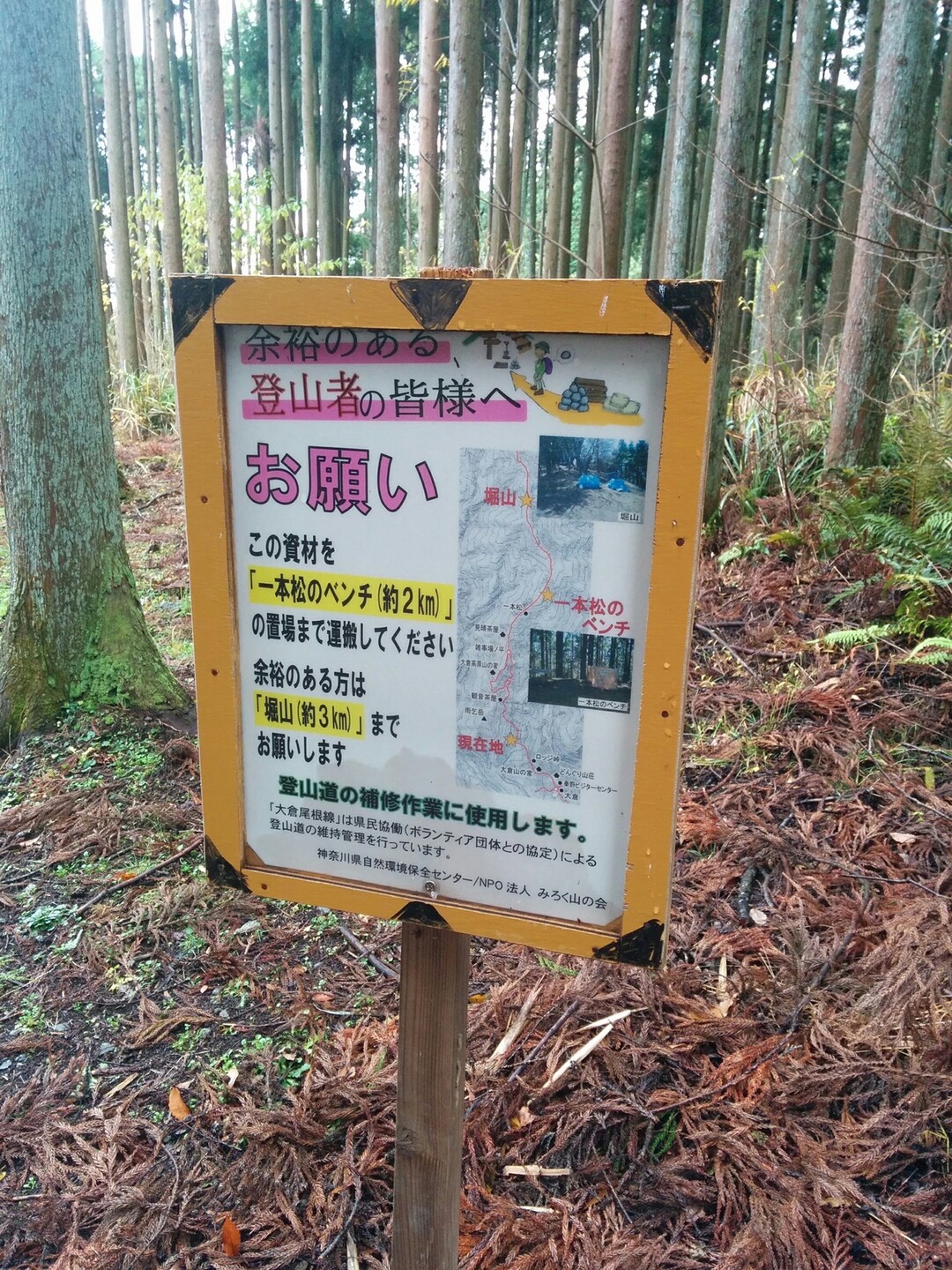 鍋割山2015.12.14 / ガンさんのモーメント | YAMAP / ヤマップ