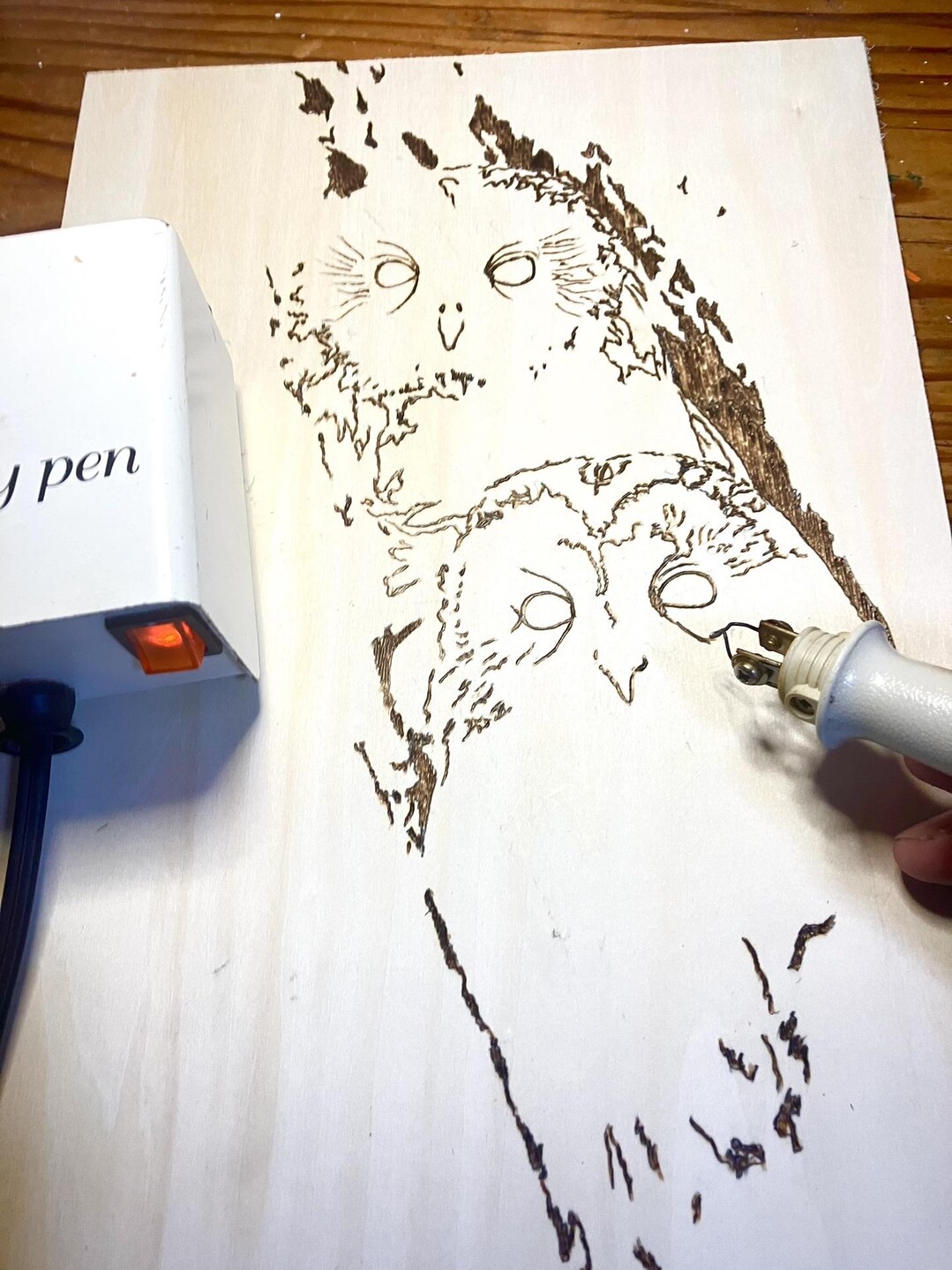 今夜〜又焦がし絵を始める煙で目が痛い / さちGさんのモーメント | YAMAP / ヤマップ