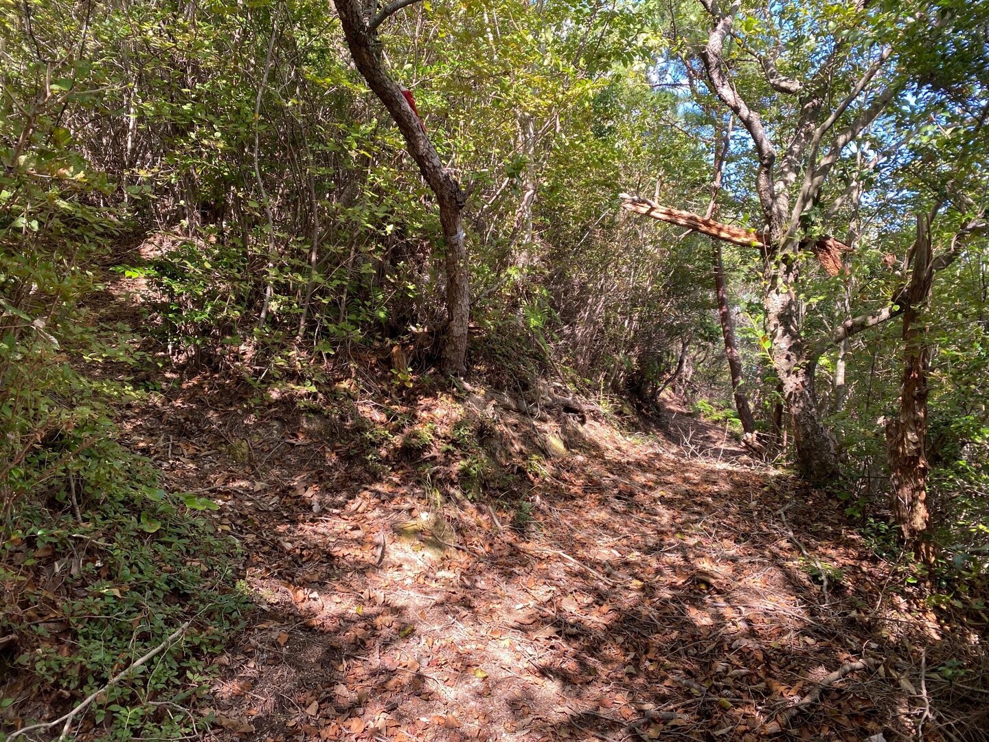 masa7887さんの投稿したフィールドメモ | YAMAP / ヤマップ