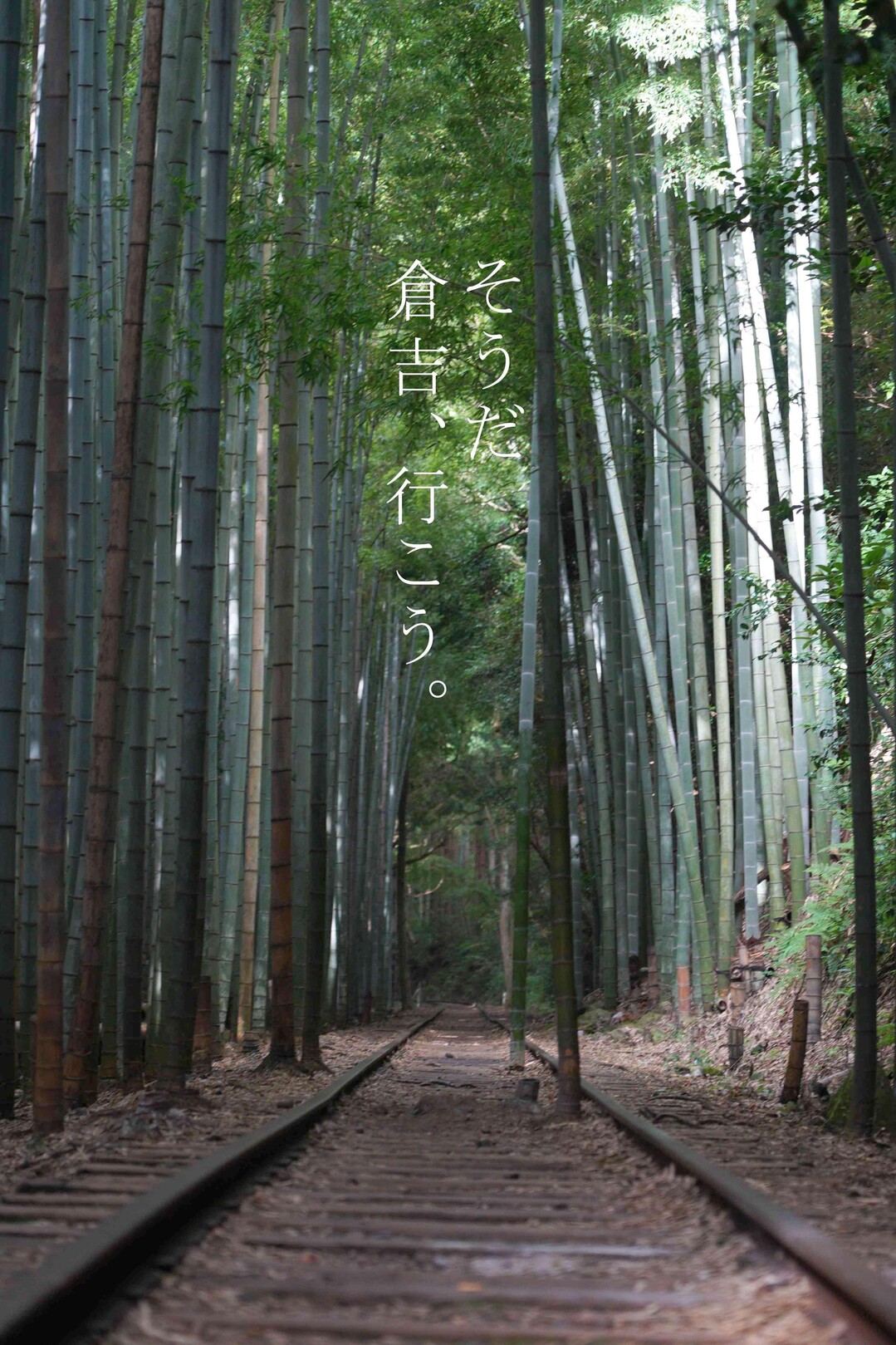 お初の大山（弥山）夏道で / podoryさんの大山・甲ヶ山・野田ヶ山の活動データ | YAMAP / ヤマップ