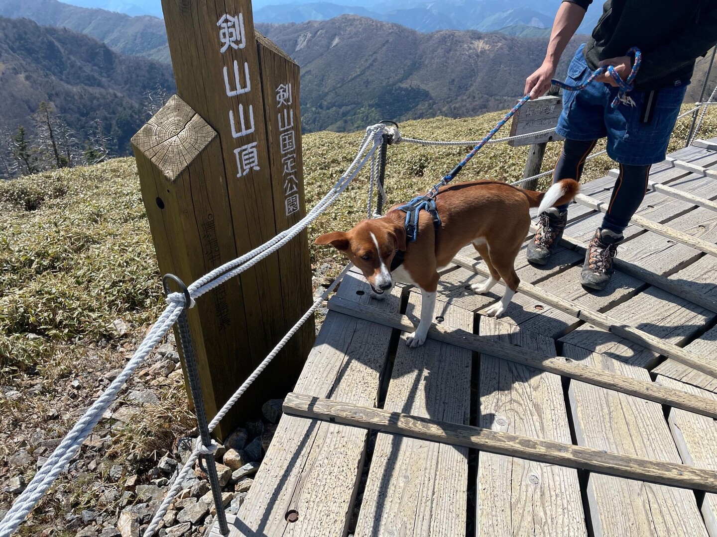 剣山・次郎笈 / Seiさんの剣山の活動データ | YAMAP / ヤマップ