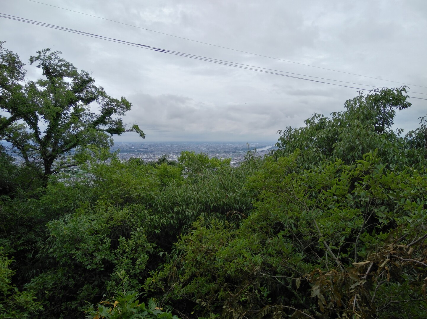 金華山 / nobu2🦩さんの金華山・洞山・舟伏山の活動データ | YAMAP / ヤマップ