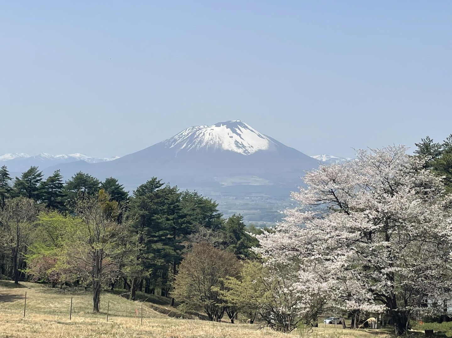R6.4.28姫神山 / ハルキさんの姫神山の活動日記 | YAMAP / ヤマップ