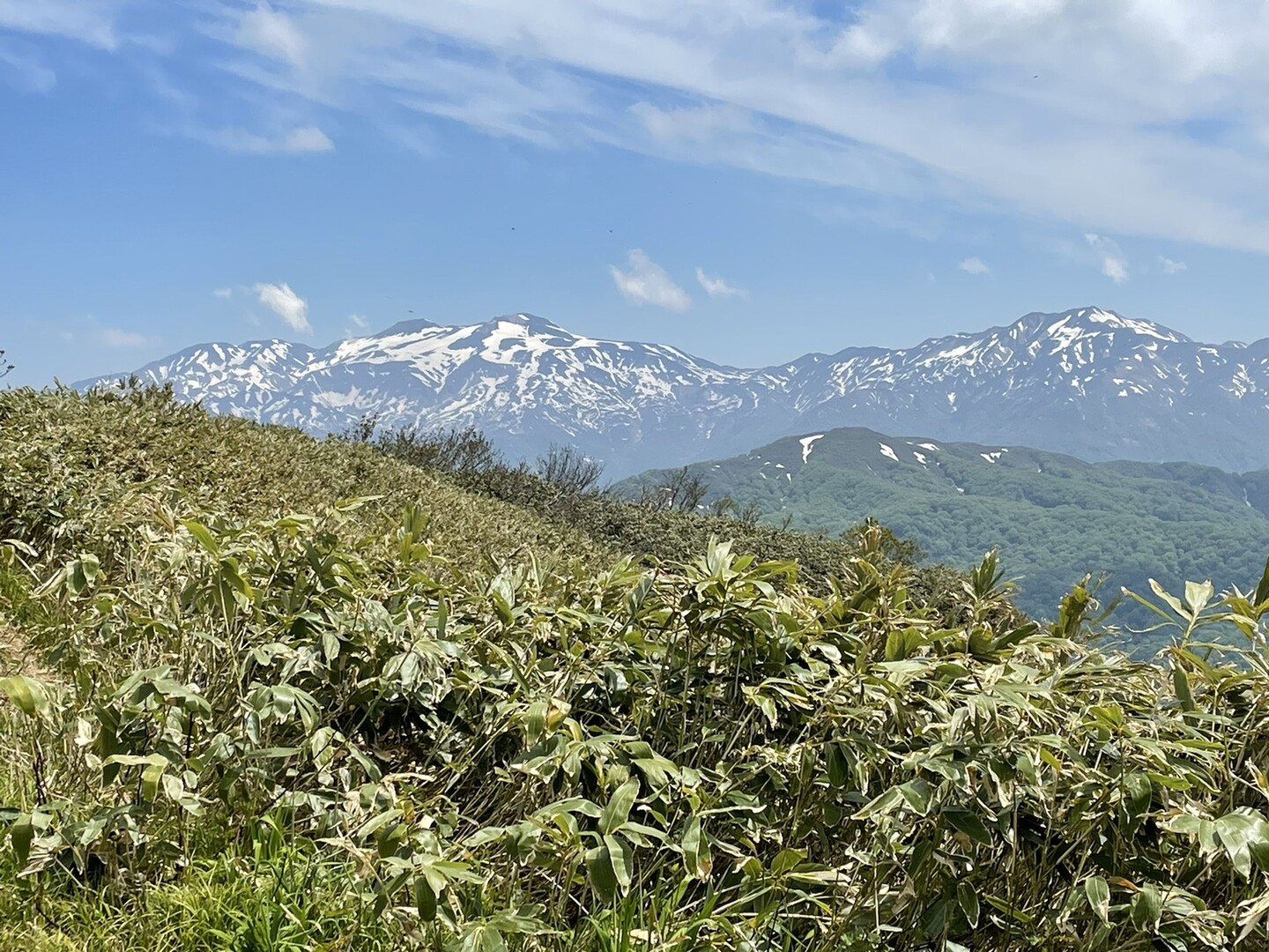 経ケ岳2022-05-25 / ゆきuんこさんのウォーキングの活動データ | YAMAP / ヤマップ
