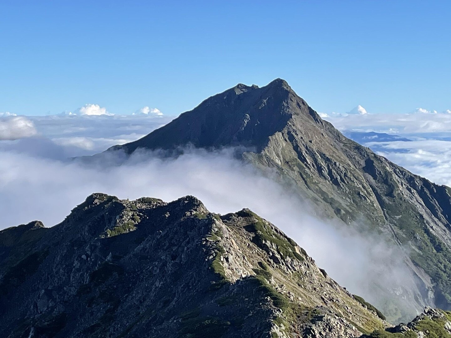 白峰三山縦走で大満足🤗12年越しのリベンジ成功👍 / mmmさんの北岳・間ノ岳・農鳥岳の活動日記 | YAMAP / ヤマップ