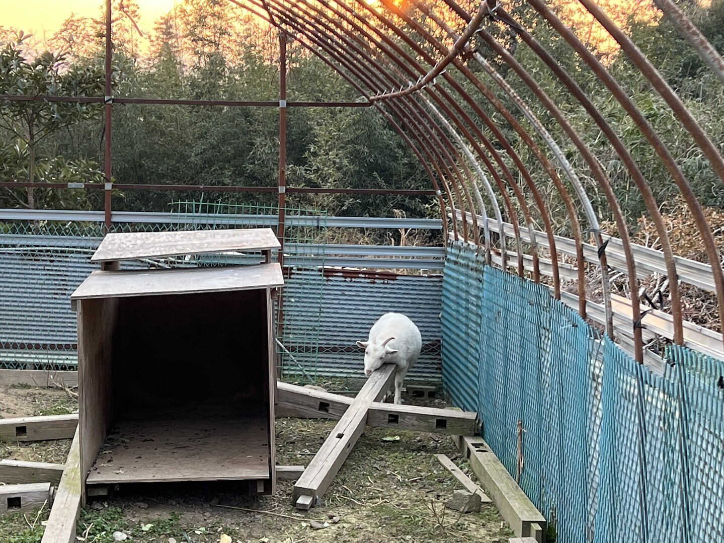 早朝の徘徊。 / FW16さんの立花山・三日月山・城ノ越山の活動データ | YAMAP / ヤマップ