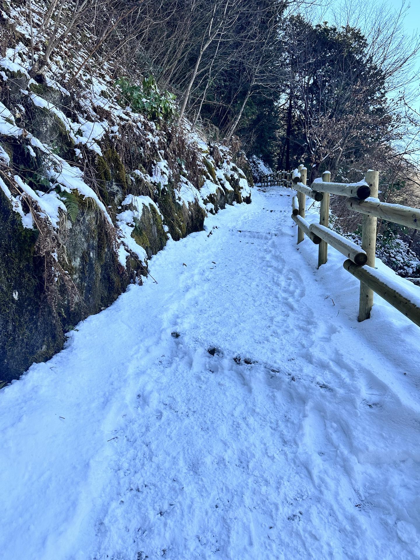 250223 百々ヶ峰 / NOVAさんの百々ヶ峰・源太峰の活動データ | YAMAP / ヤマップ