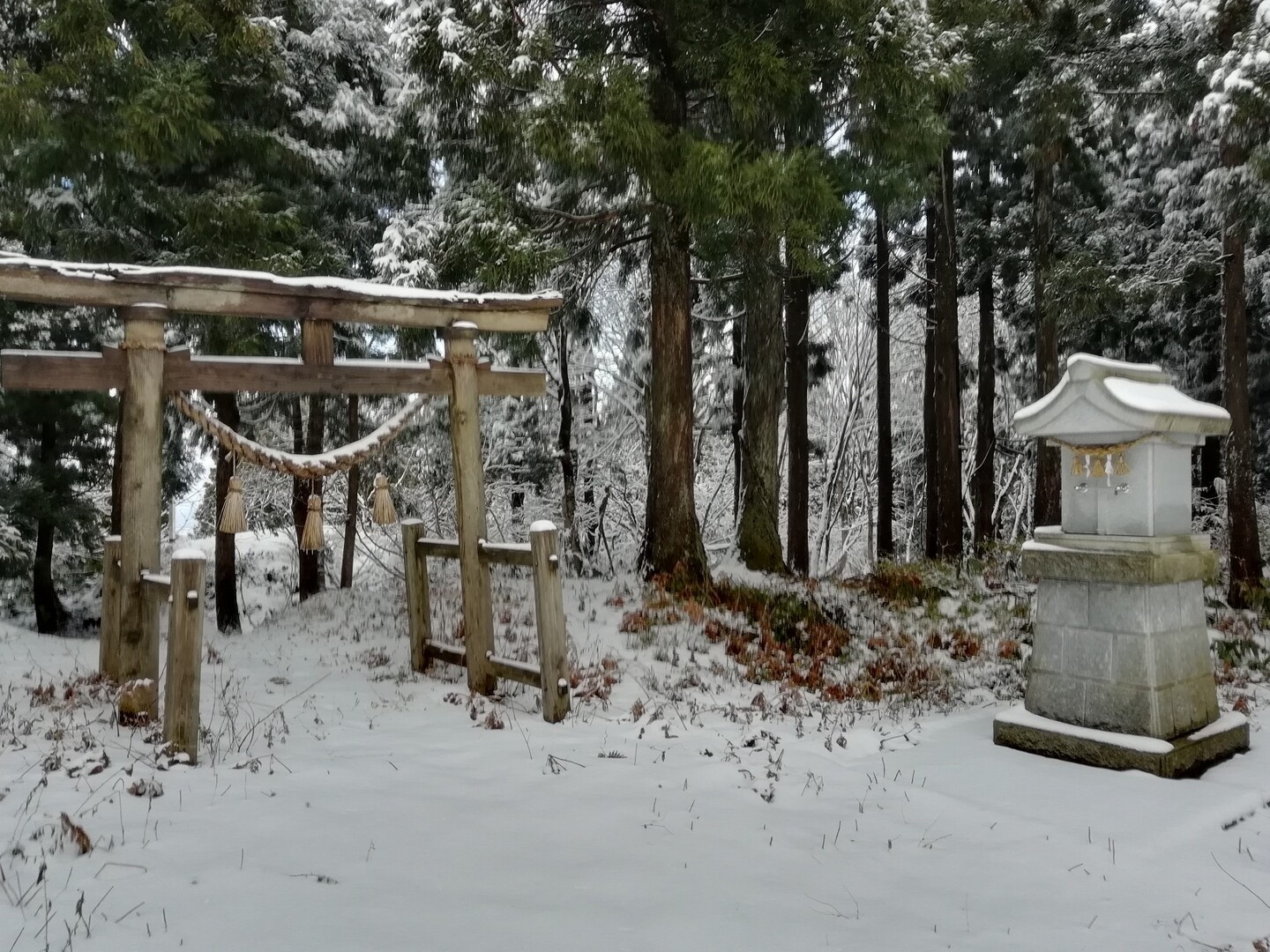 八乙女山 / yamanobu さんの高清水山・高落場山・八乙女山の活動データ | YAMAP / ヤマップ