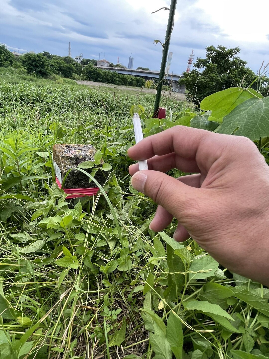 barで一服 / 貿易風さんの七国山の活動データ | YAMAP / ヤマップ
