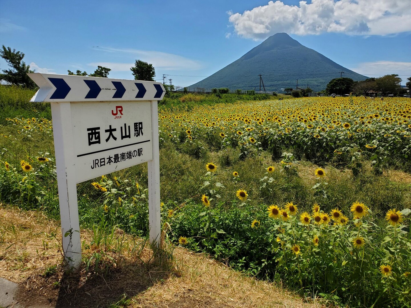 夏の開聞岳登山はしんどいので、見るだけで... / gg505さんのモーメント | YAMAP / ヤマップ