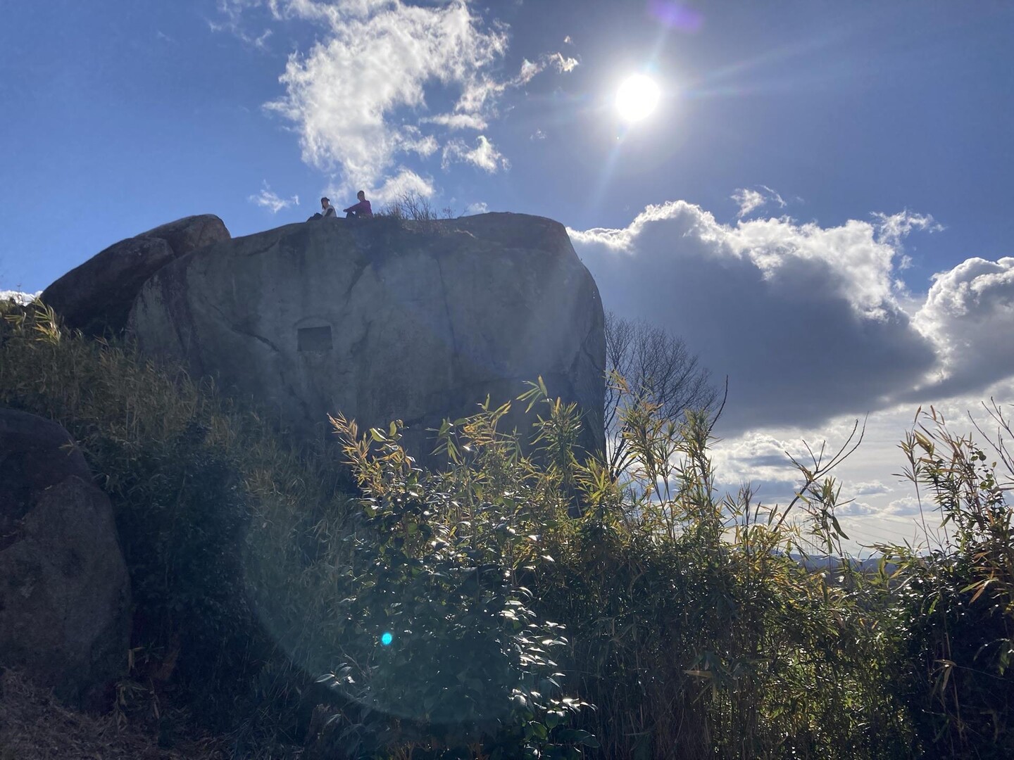 普見山（北生駒山）・旗振山・交野山・国見山 / OHさんの交野山・国見山の活動データ | YAMAP / ヤマップ