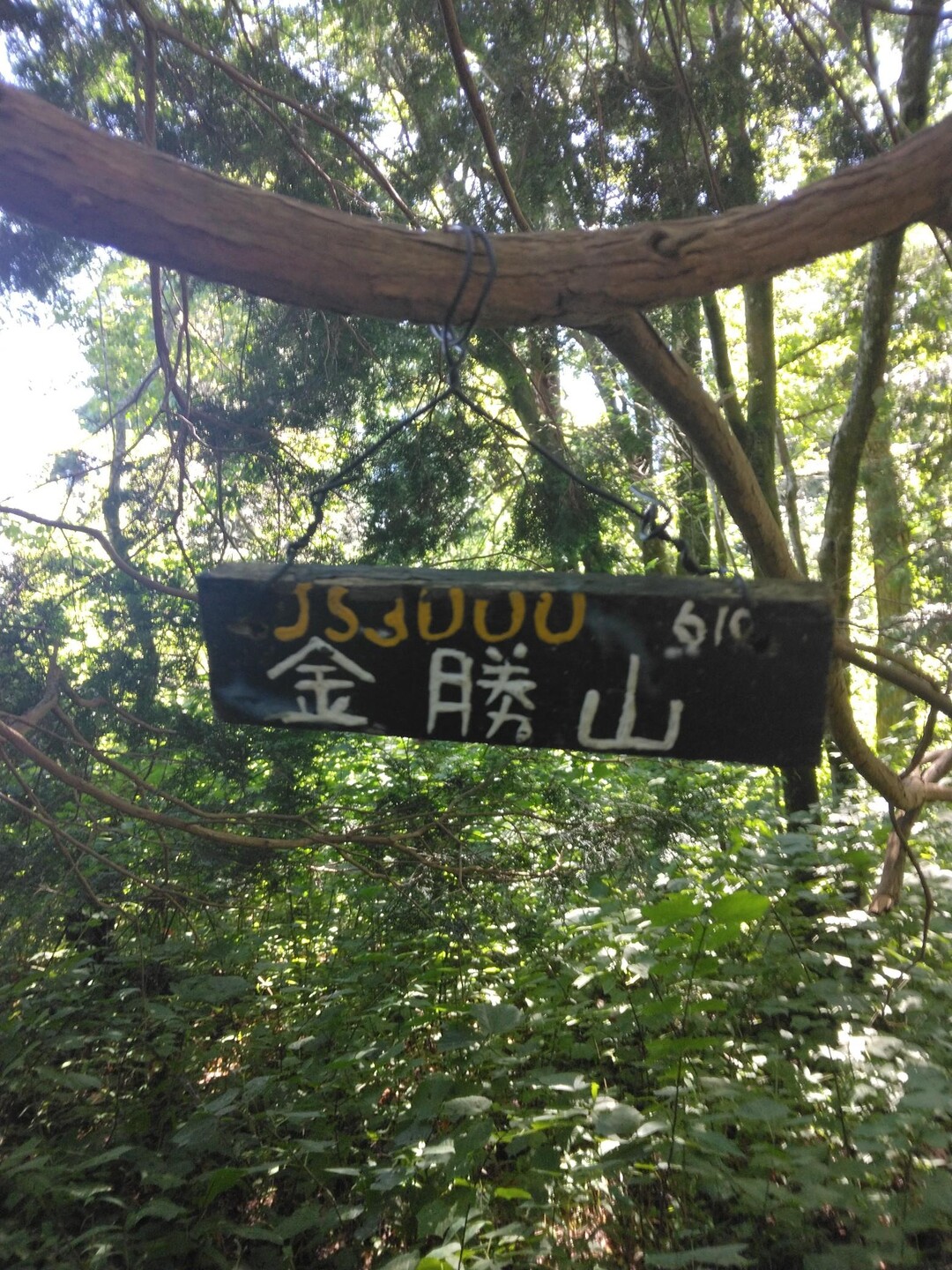 金勝寺山 / fifty fiftyさんの阿星山の活動データ | YAMAP / ヤマップ