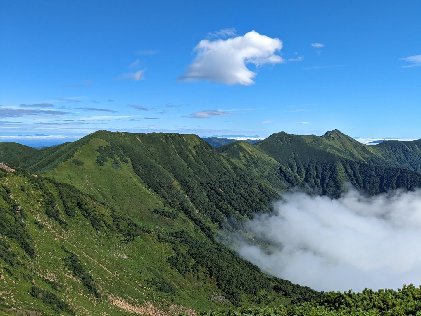 【日本百名山】幌尻岳 2053M / おン丸さんの幌尻岳・戸蔦別岳・伏美岳の活動日記 | YAMAP / ヤマップ