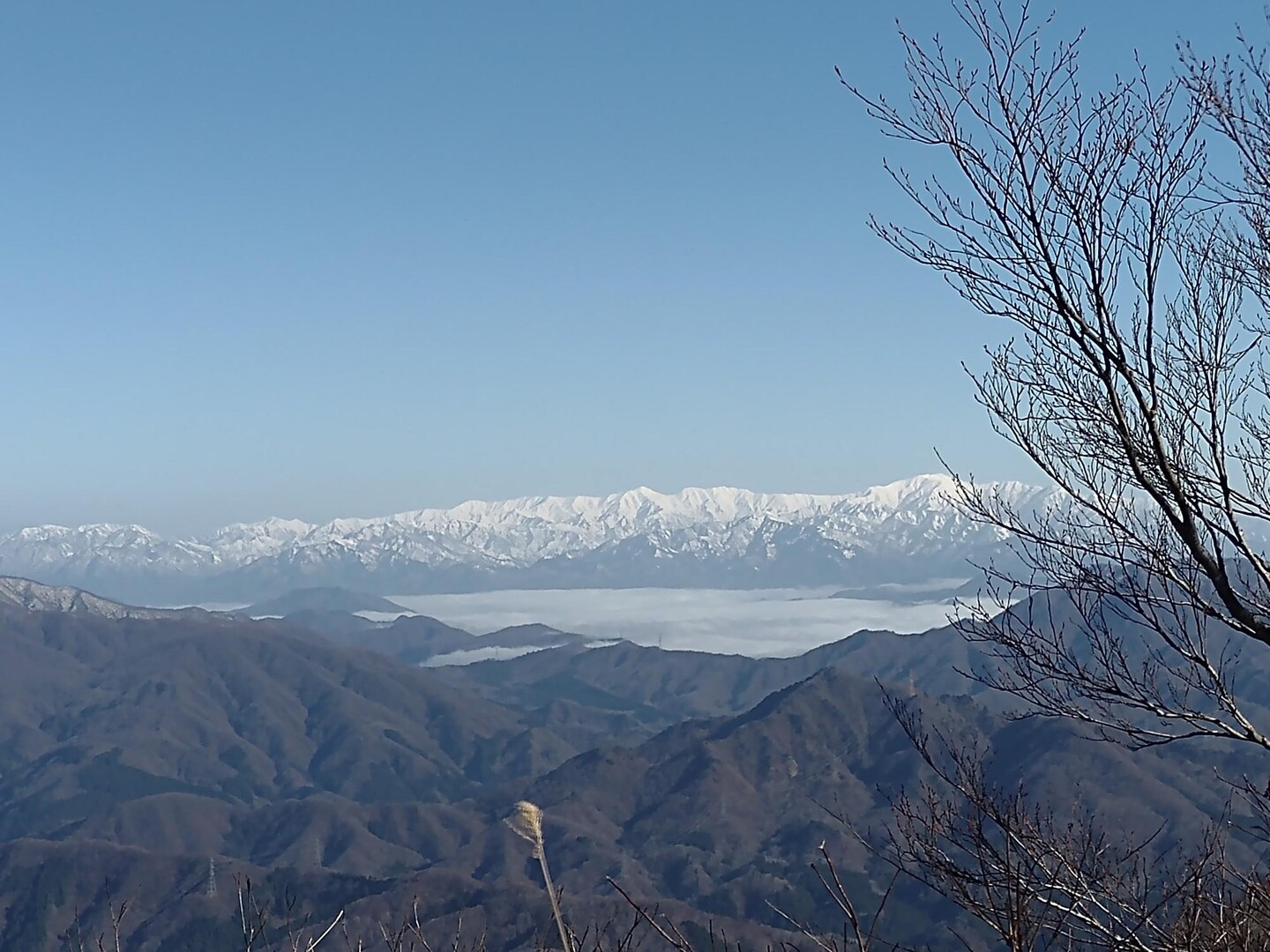 白山・袴越 / Andrewさんの粟ヶ岳・權ノ神岳・宝蔵山の活動データ | YAMAP / ヤマップ
