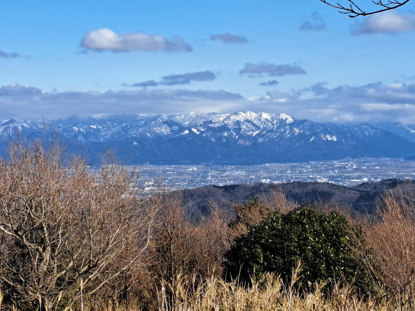 高須山 / jasmineさんの高須山の活動データ | YAMAP / ヤマップ