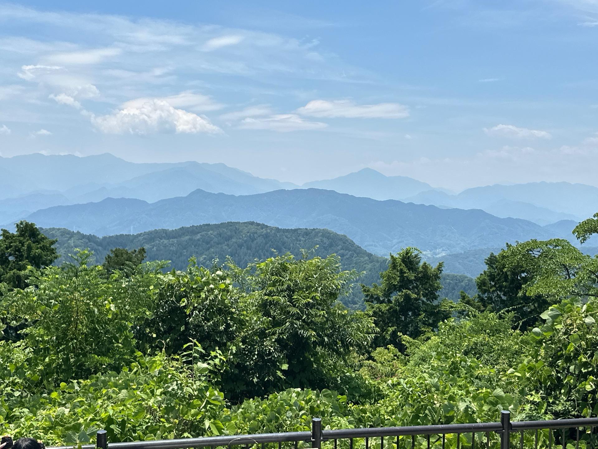 高尾山 / cocoさんの高尾山・陣馬山・景信山の活動日記 | YAMAP / ヤマップ