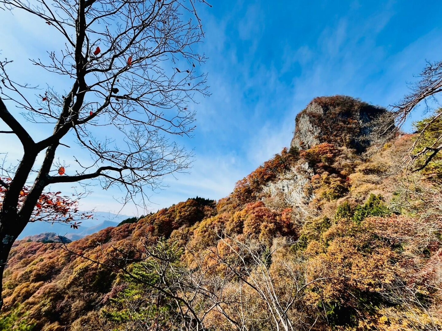 鹿岳 うっかりさん🥹 / kyonさんの鹿岳・黒滝山の活動データ | YAMAP / ヤマップ