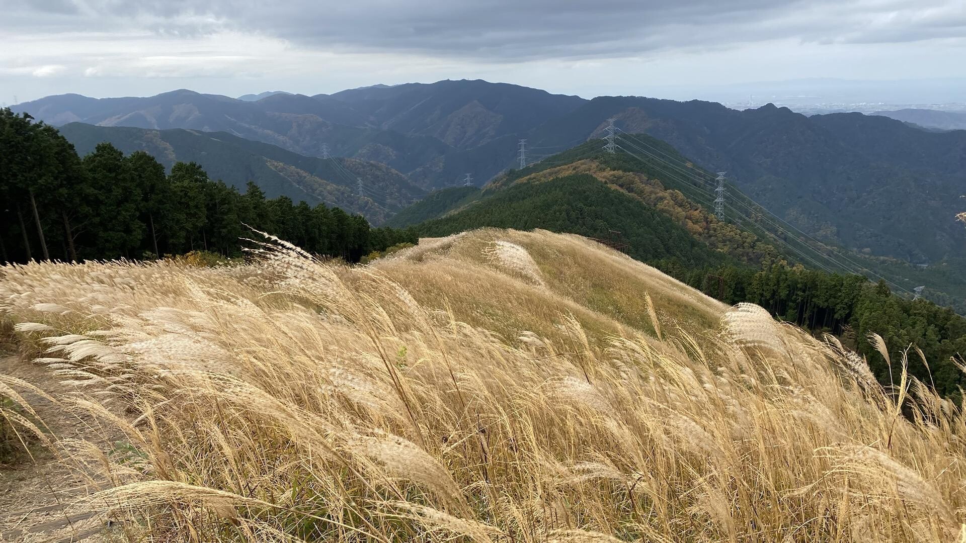 岩湧20k練 / hirochanさんの岩湧山・一徳防山・三石山の活動日記 | YAMAP / ヤマップ