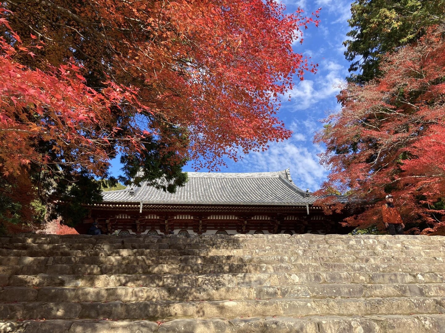 京都一周トレイル(左回り) / jinさんの京都一周トレイルの活動データ | YAMAP / ヤマップ